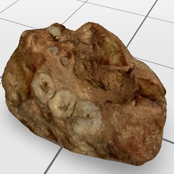 Accents | Its A Rock With Teeth Extremely Rare Unique Item | Poshmark